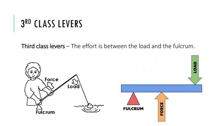 Types of Lever - Class 5 - CBSE Class Notes Online - Classnotes123