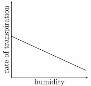 10 Important Factors that Affect the Rate of Transpiration - CBSE Class ...