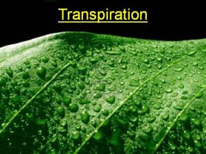 10 Important Factors that Affect the Rate of Transpiration - CBSE Class ...
