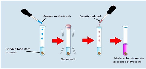 Class 6 - Science - Chapter 2 - Notes - CBSE Class Notes Online ...