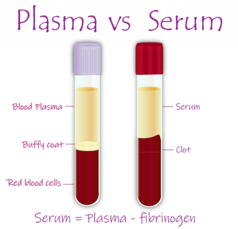 22 Differences Between Plasma and Serum - CBSE Class Notes Online ...