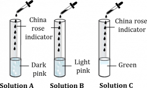 Class 7 - Chapter 4- Acids, Bases, and Salts - Activity 4.3- China Rose ...