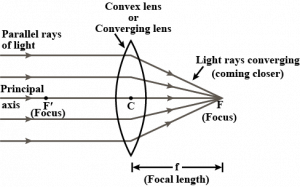 Convex Lenses- Principles, Applications, and Insights - CBSE Class ...