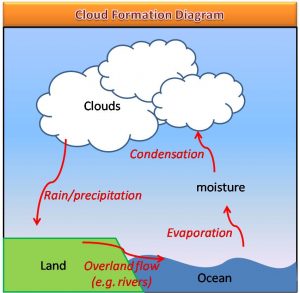 The Water Cycle: The Steps and Hydrologic Processes from Evaporation to ...