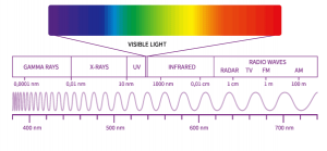 What is Light? An Easy-to-Understand Guide - CBSE Class Notes Online ...