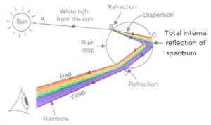 What is Light? An Easy-to-Understand Guide - CBSE Class Notes Online ...