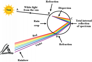 Refraction of Light- A Comprehensive Guide for Students - CBSE Class ...