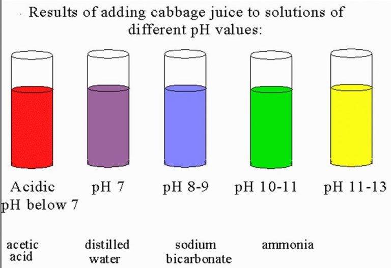 Indicators for Acid and Base- A Guide for Students - CBSE Class Notes ...