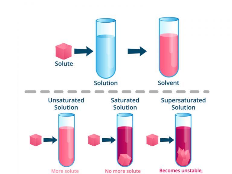 Solute, Solvent and Solution- Definition, Difference between ...